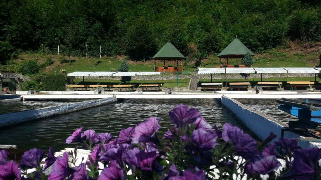 Complex Lostrița • Zile și Nopți