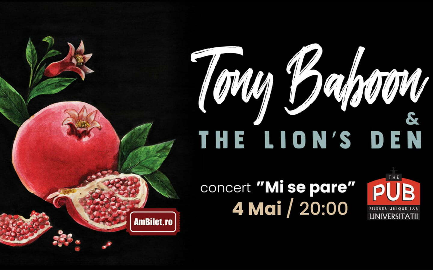 Tony Baboon & The Lion’s Den - Concert “Mi se Pare” @ The Pub ...