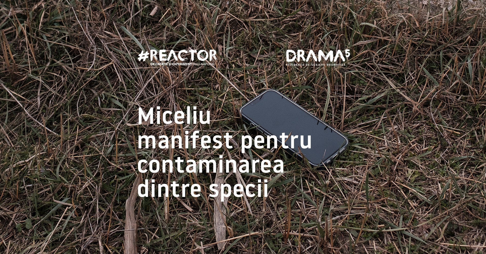 Miceliu manifest pentru contaminarea dintre specii | Spectacol ...