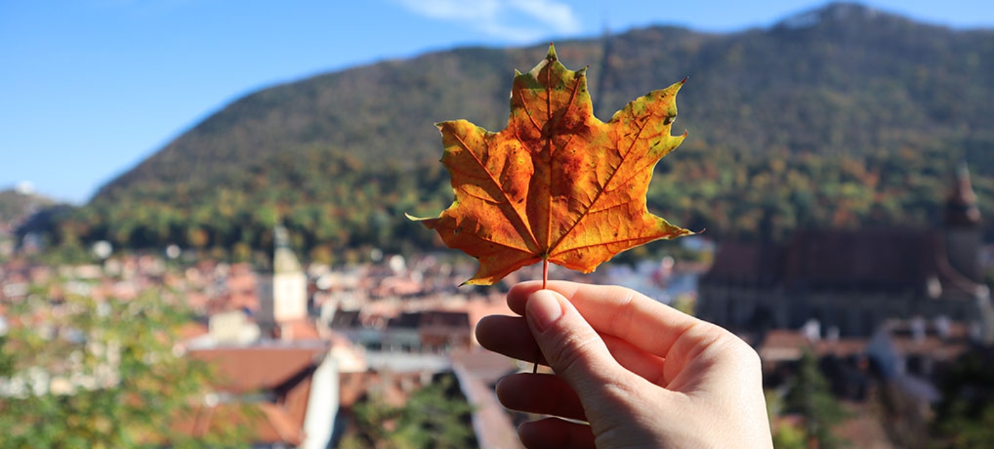 Salut Brașov! Septembrie în culori muzicale și evenimente inedite ...