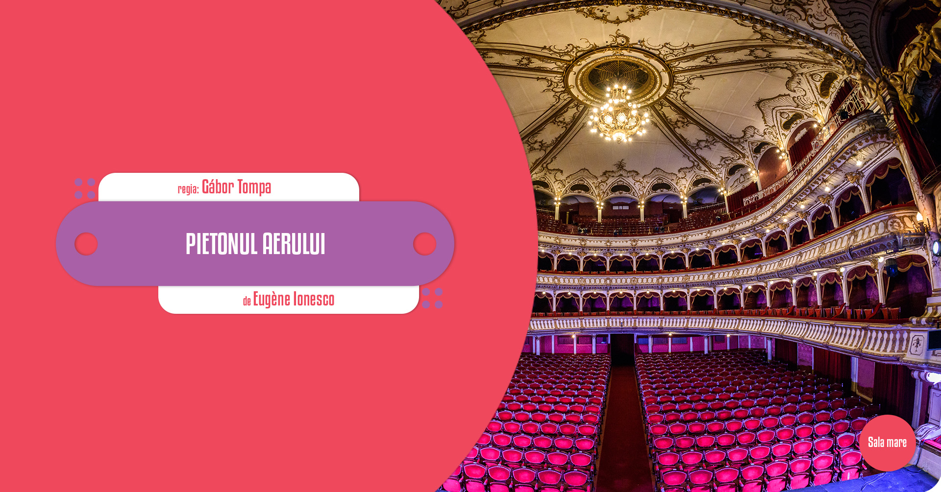 Pietonul aerului @ Teatrul Naţional Cluj-Napoca • Zile și Nopți