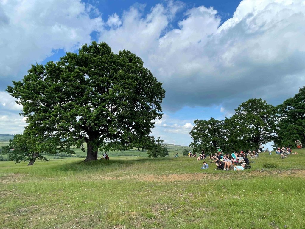 Natură, muzică și experiențe inedite la Festivalul Cobor între Stejari ...