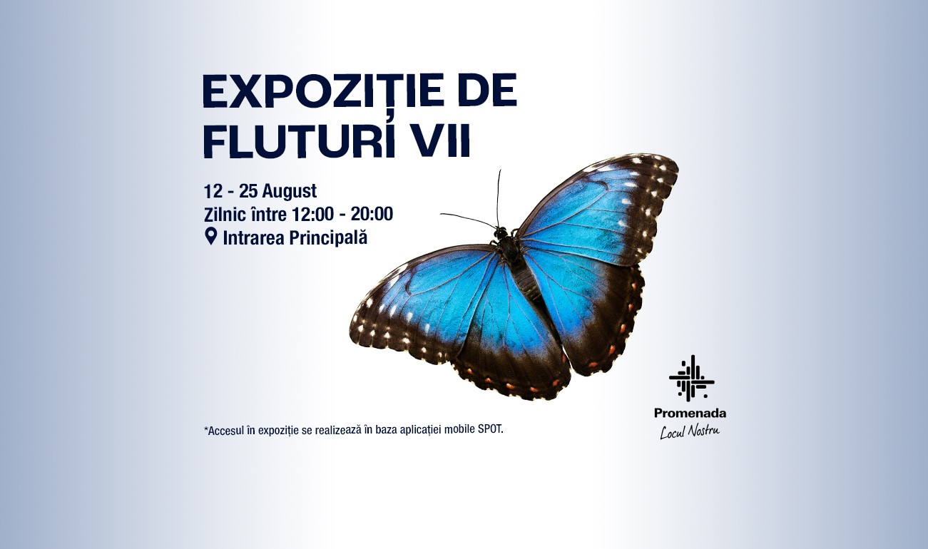 Expoziție de fluturi vii @ Promenada • Zile și Nopți