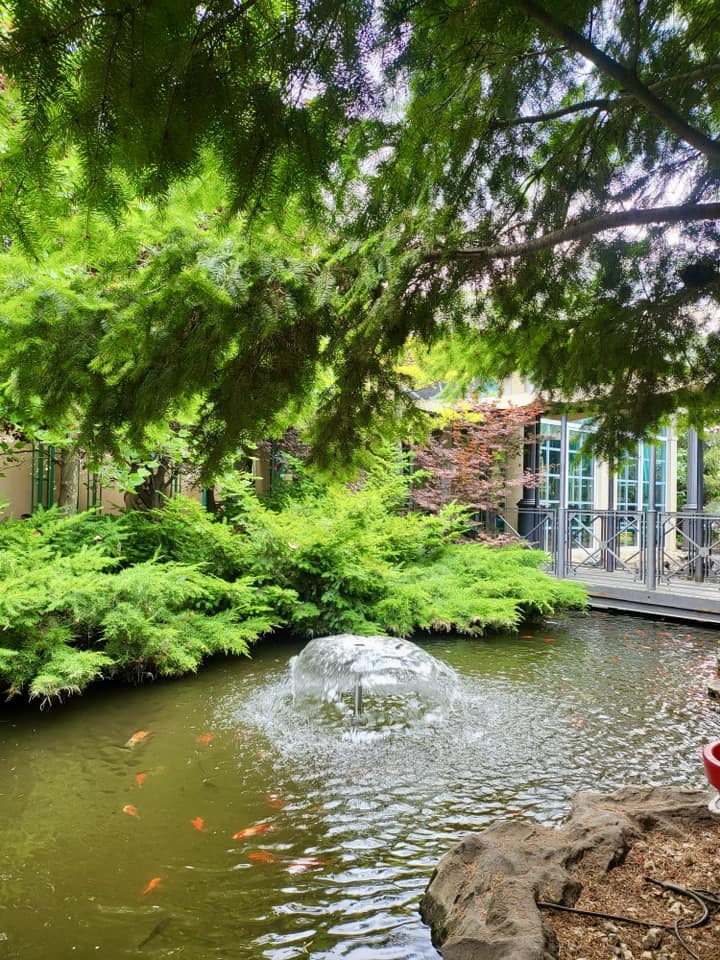 Garden Restaurant Buzău • Zile și Nopți
