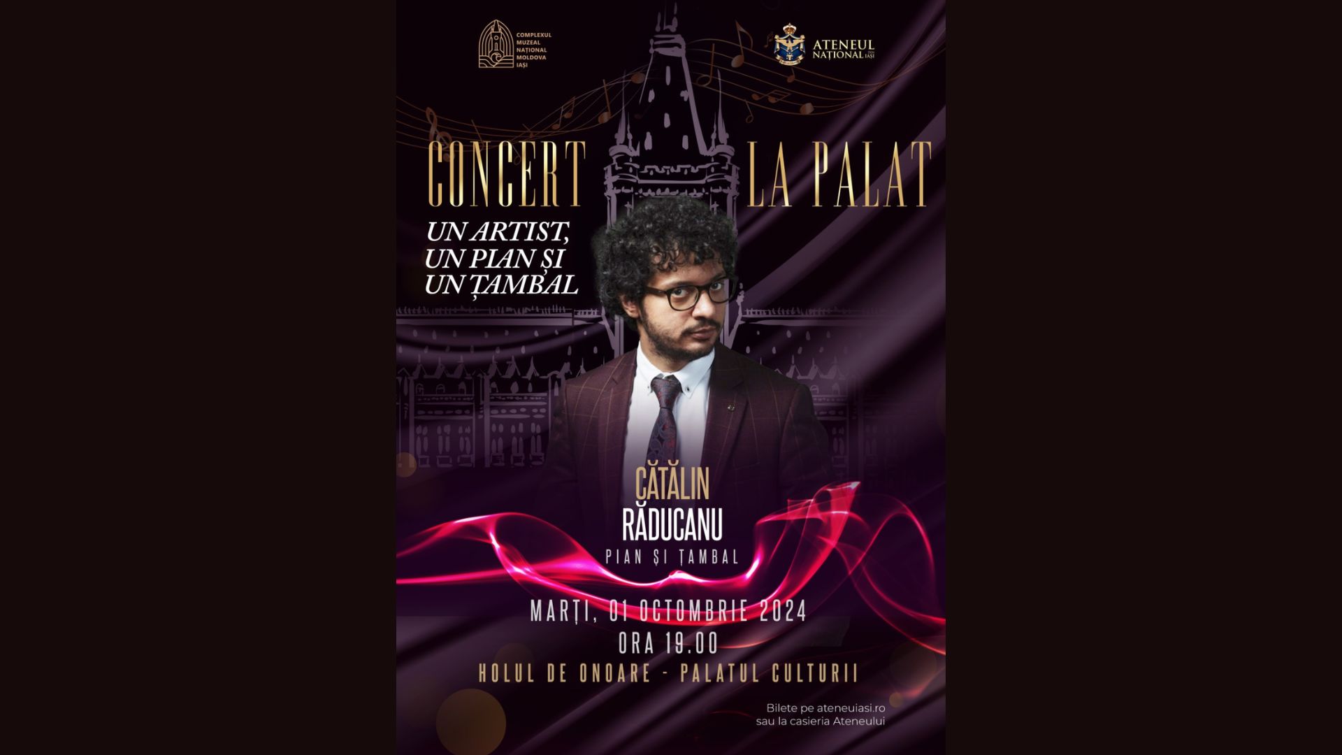 Concert la Palat @ Palatul Culturii din Iași • Zile și Nopți