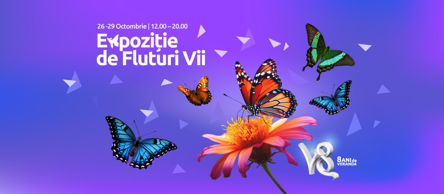 Expoziție de Fluturi Vii @ Veranda Mall • Zile și Nopți