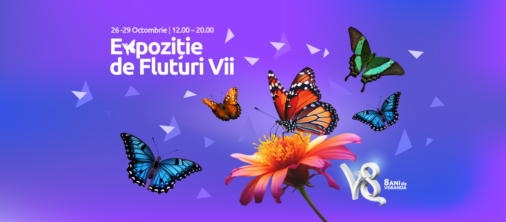 Expoziție de Fluturi Vii @ Veranda Mall • Zile și Nopți