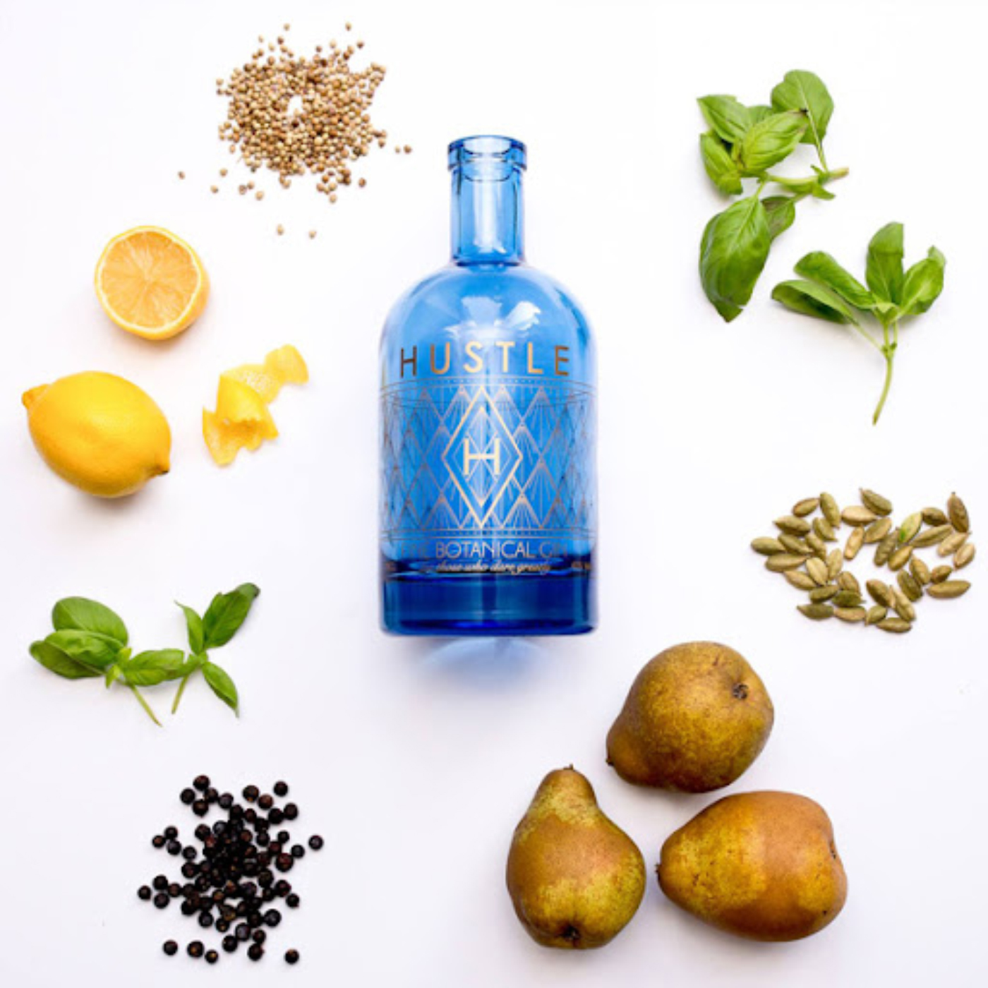 AWARDs | HUSTLE – Fine Botanical Gin prin ROBESCU 14 • Spirits Award ...