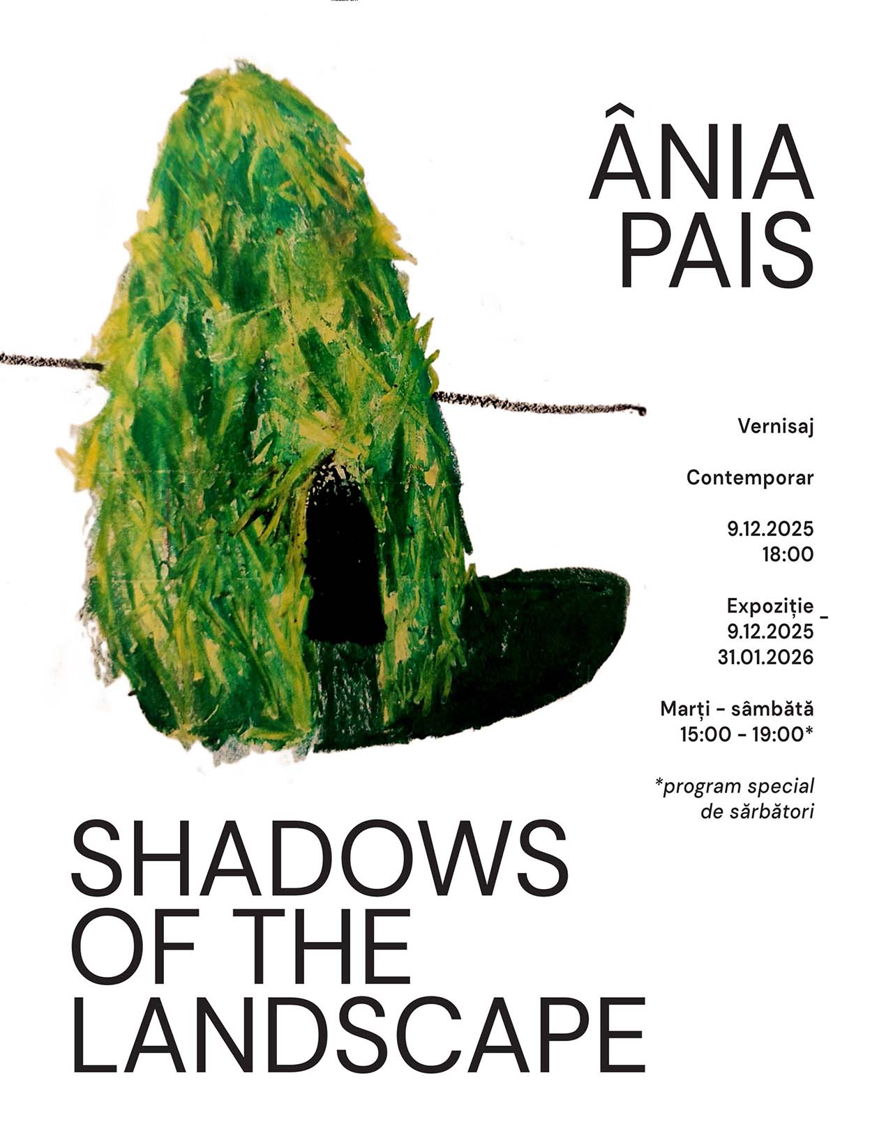 Ânia Pais - Shadows of the Landscape • Art Expo • Zile și Nopți